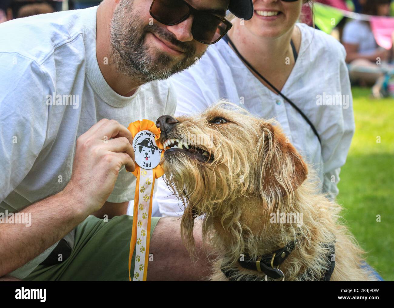 London, UK, 28th May 2023. Koya, a Labradoodle who wins 2nd place in ...