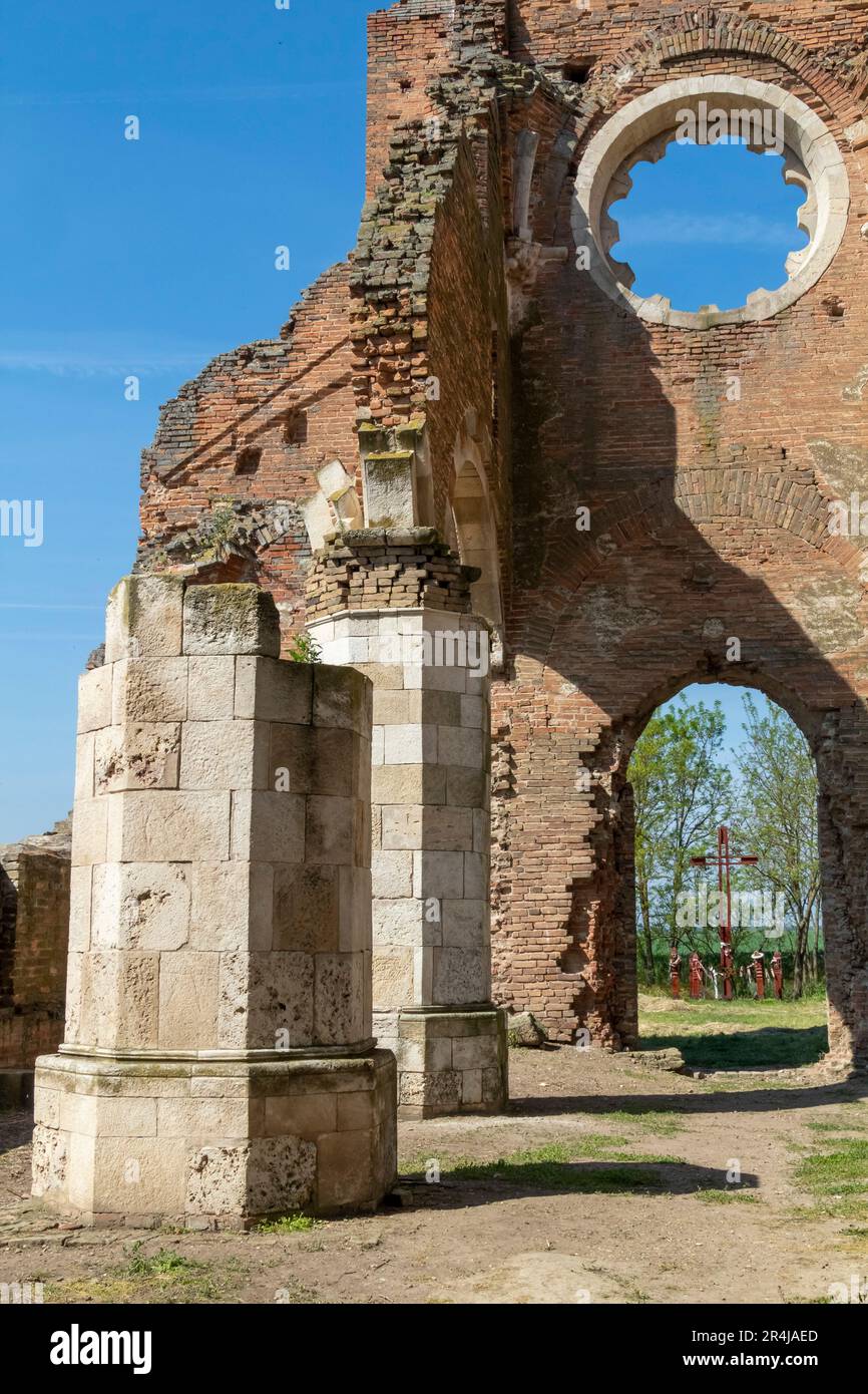 Araca hi-res stock photography and images - Alamy