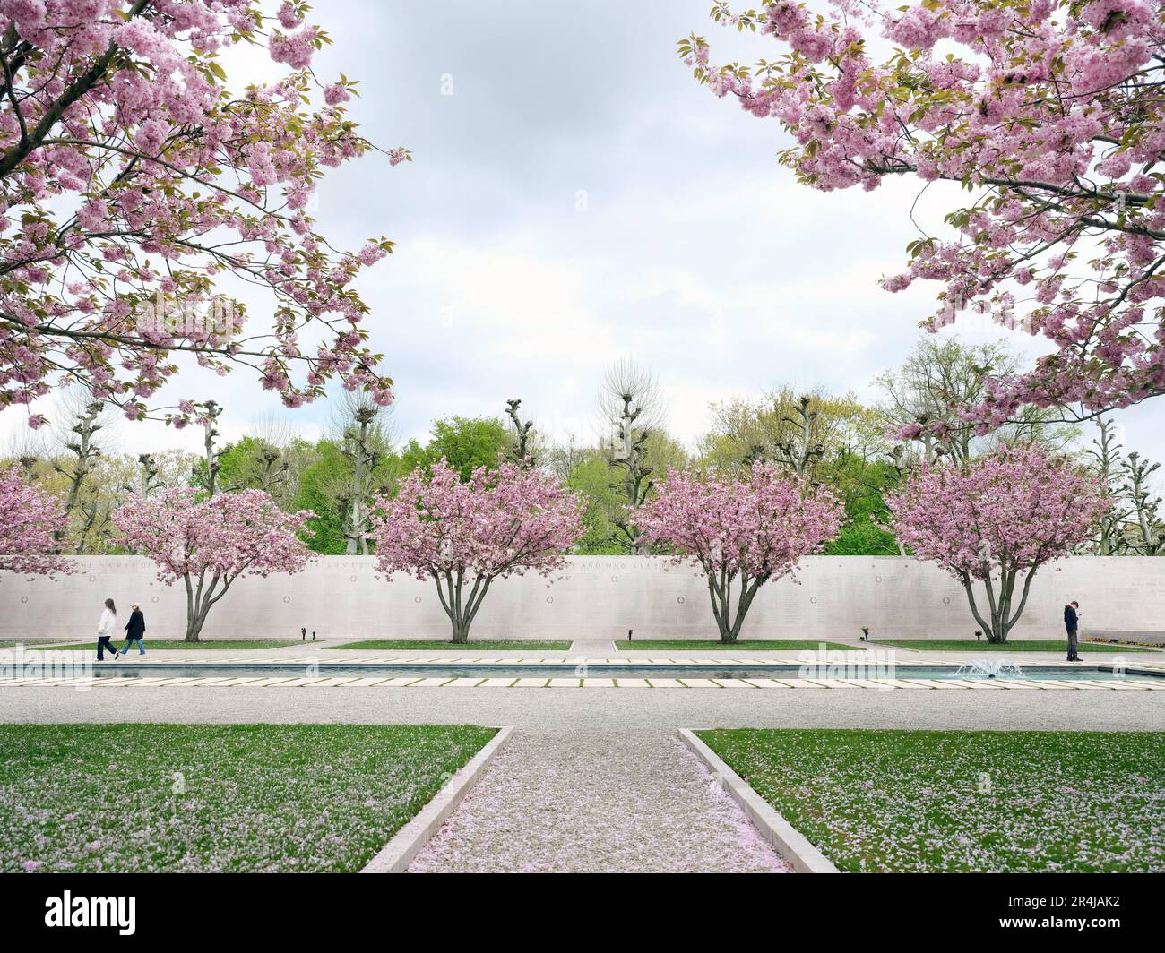 pink trees, people and soldiers at american memorial and military ...