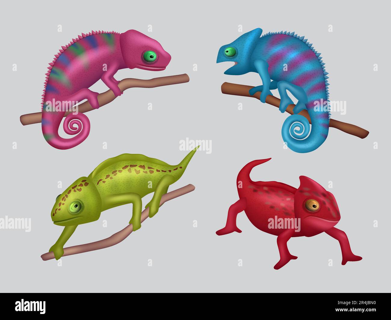 Chameleon. Realistic colored masked animals on branch decent vector ...