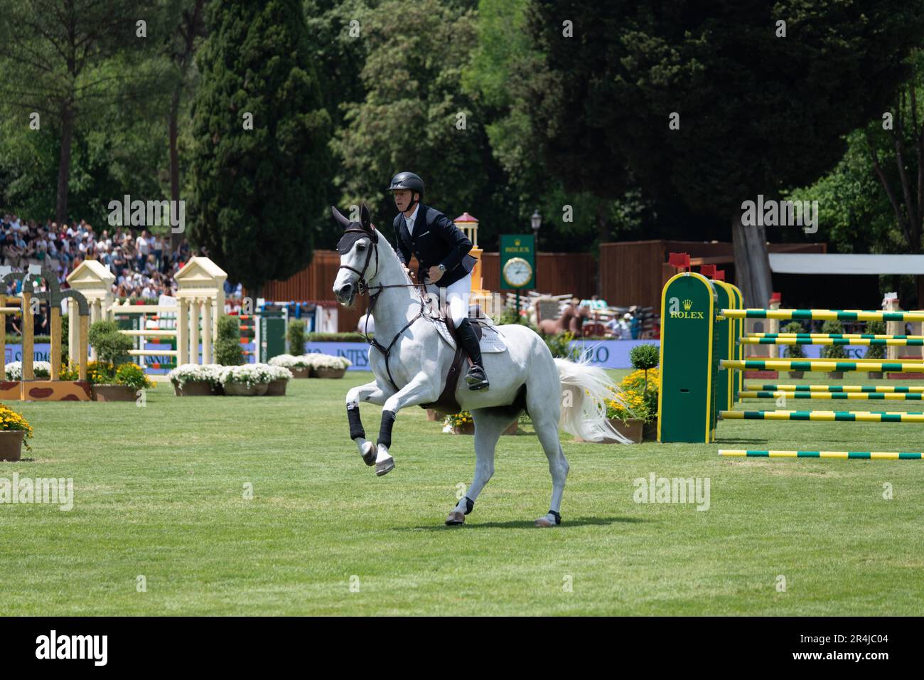 Sampson horse hi-res stock photography and images - Alamy