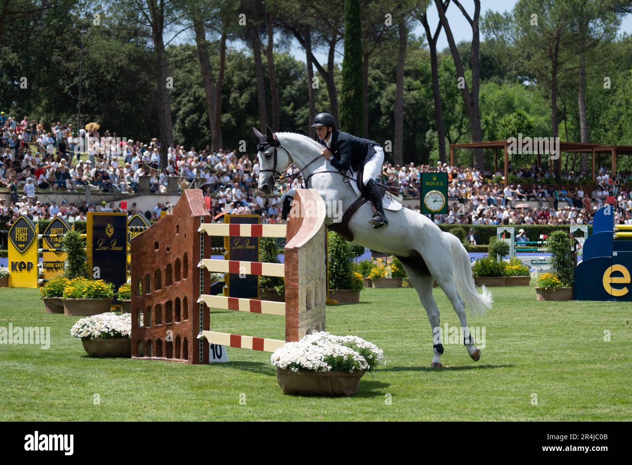 Sampson horse hi-res stock photography and images - Alamy