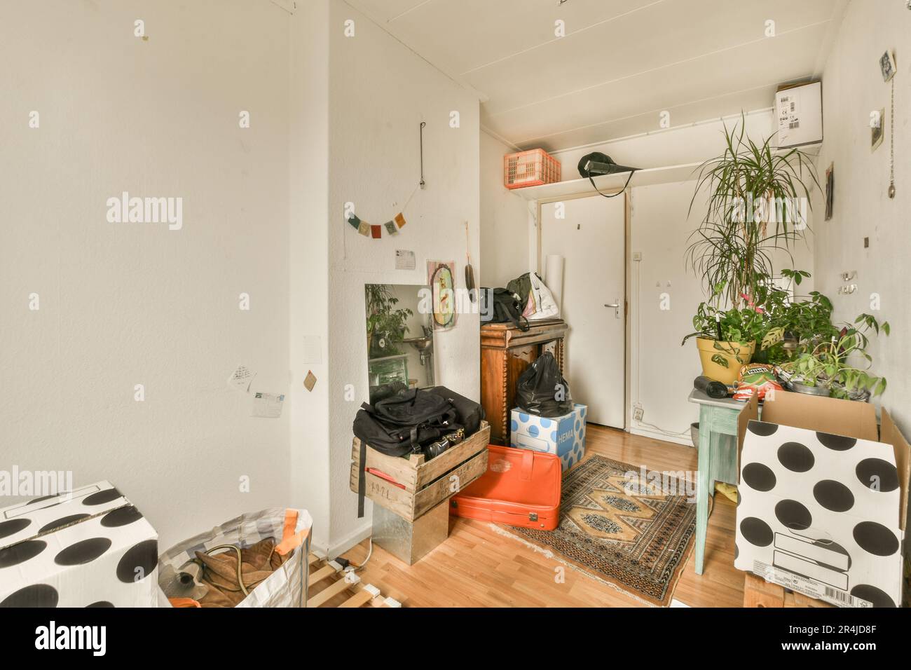 an empty living room with lots of stuff on the floor and plants growing ...