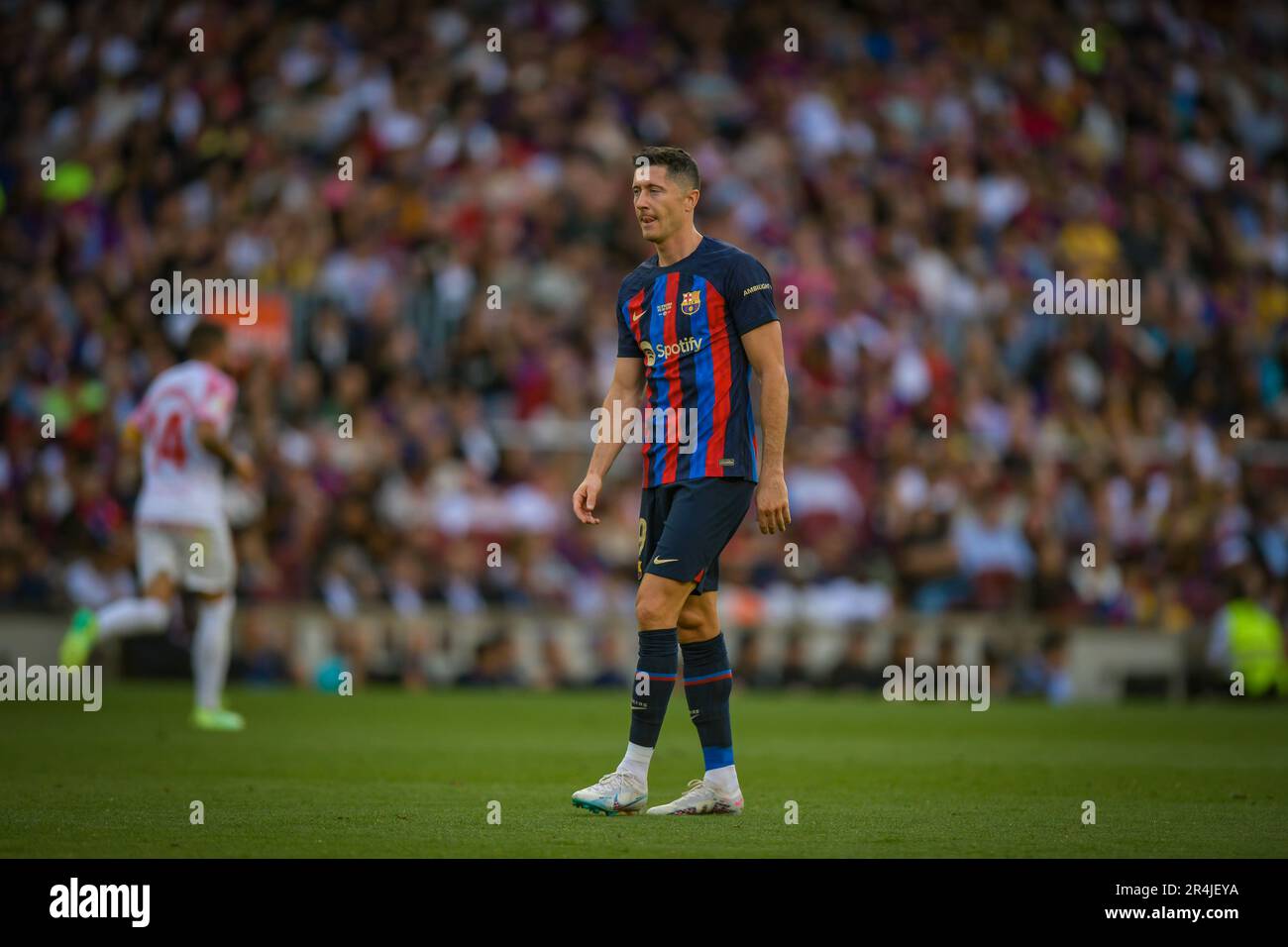 Robert lewandowski fc barcelona hi-res stock photography and images - Alamy
