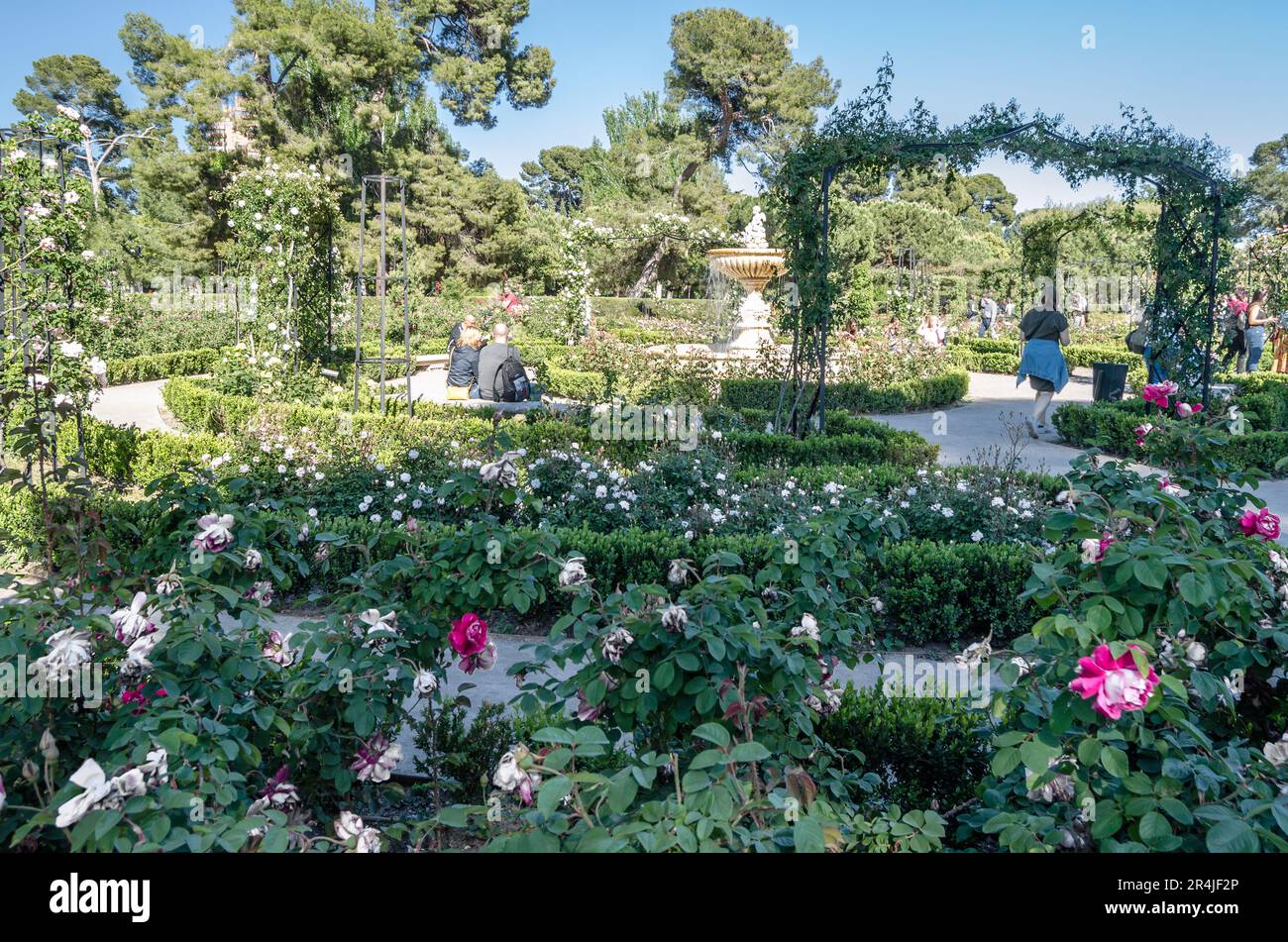 MADRID, SPAIN - MAY 4, 2019: People visiting the rose garden during ...