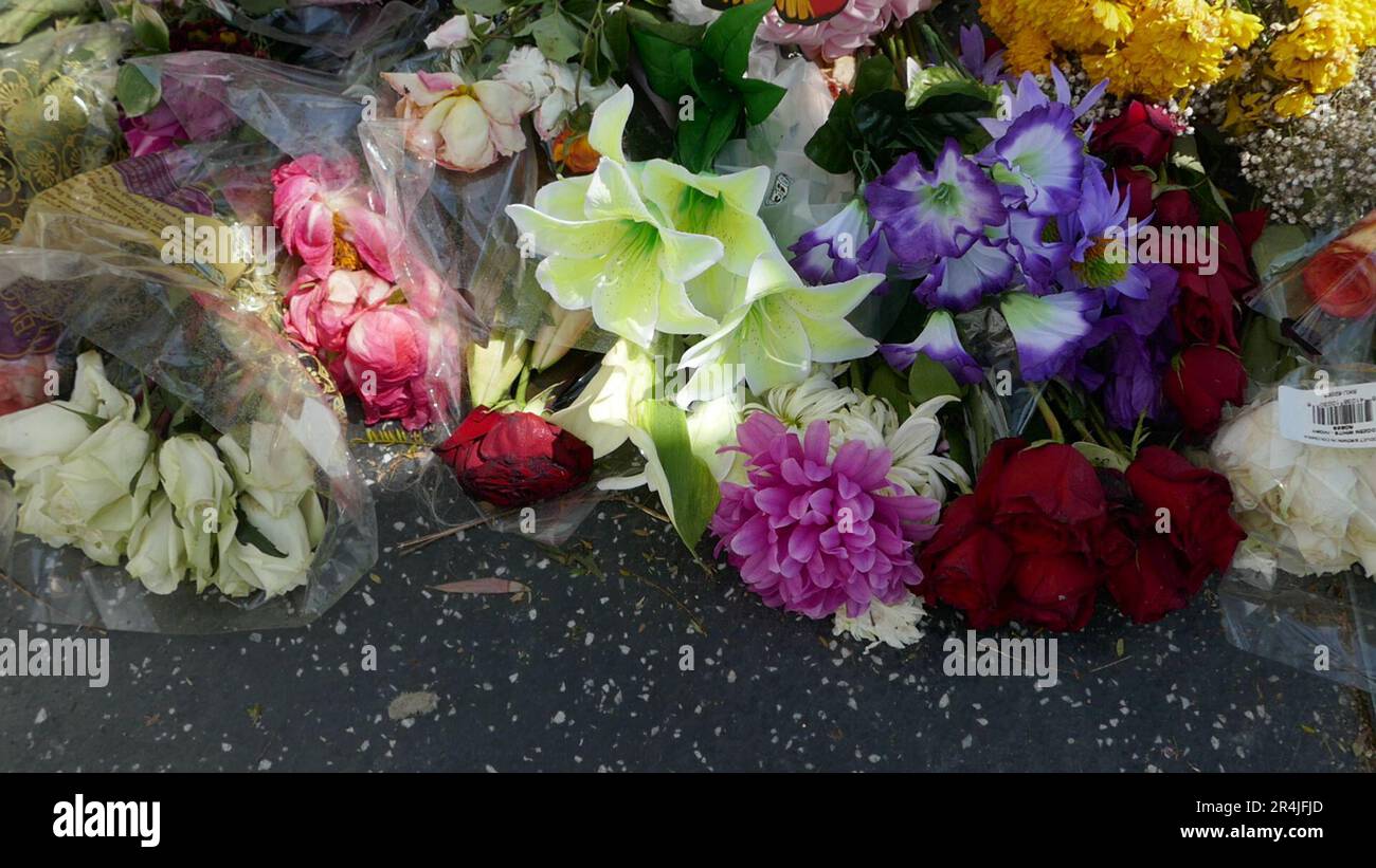 Los Angeles, California, USA 28th May 2023 Singer Tina Turner Hollywood ...