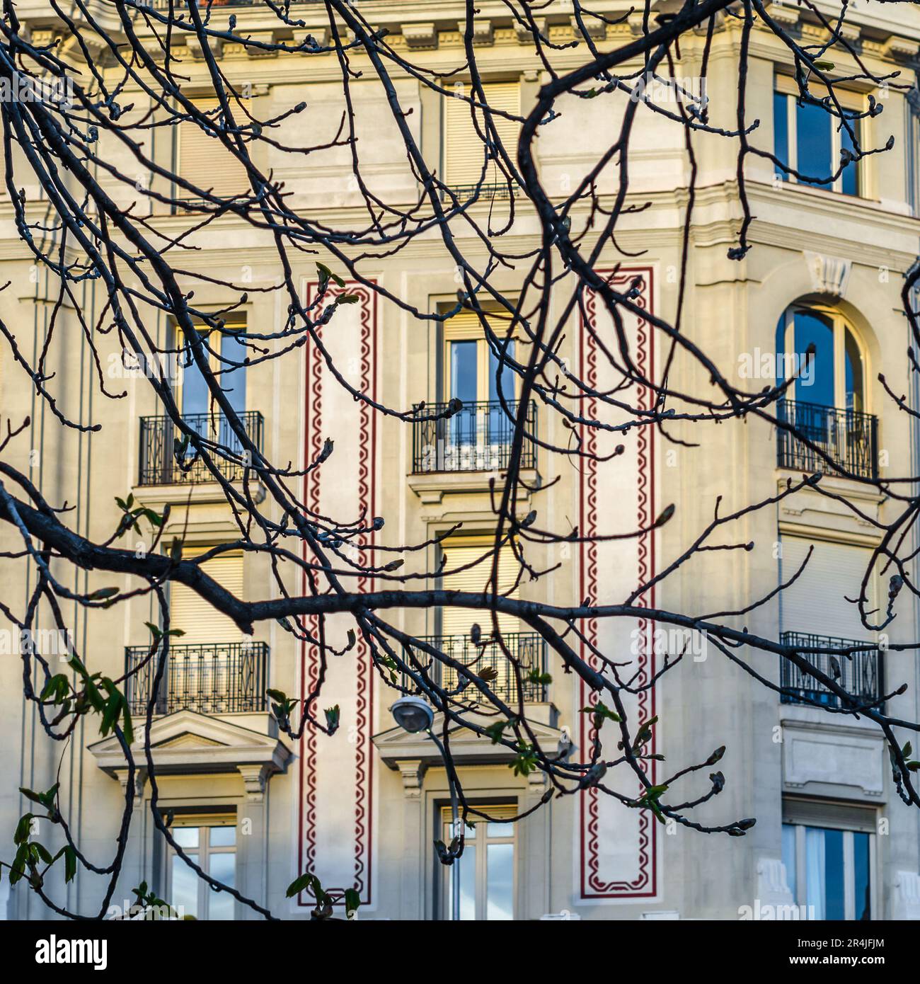 Background of branches silhouette on a building facade Stock Photo - Alamy
