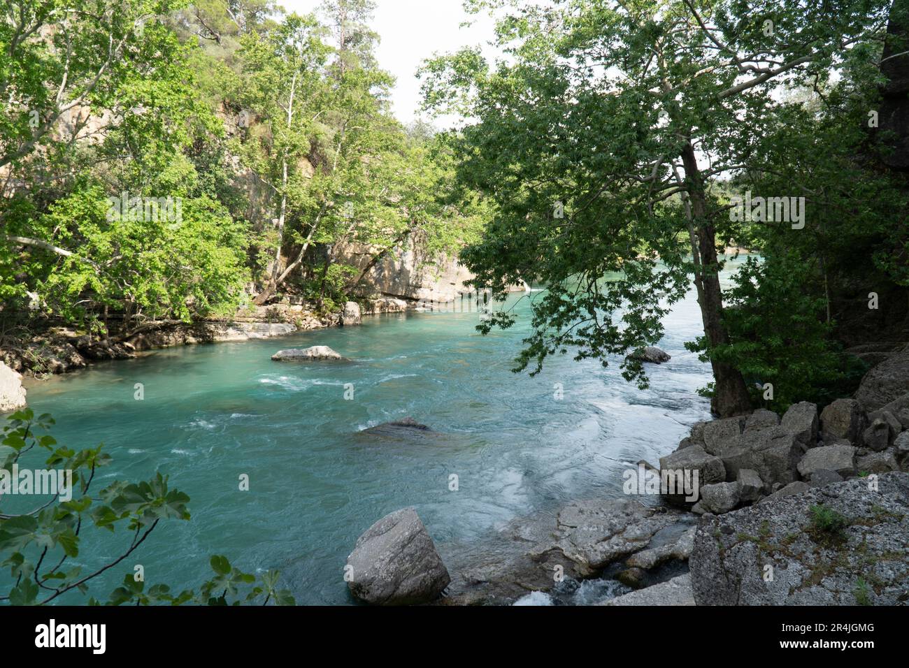 river, water is rushing through a naturally formed rocks with green ...