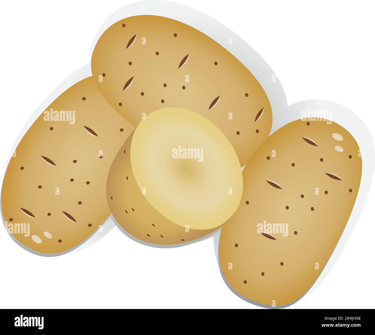 Potato realistic vector illustration Stock Vector Image & Art - Alamy