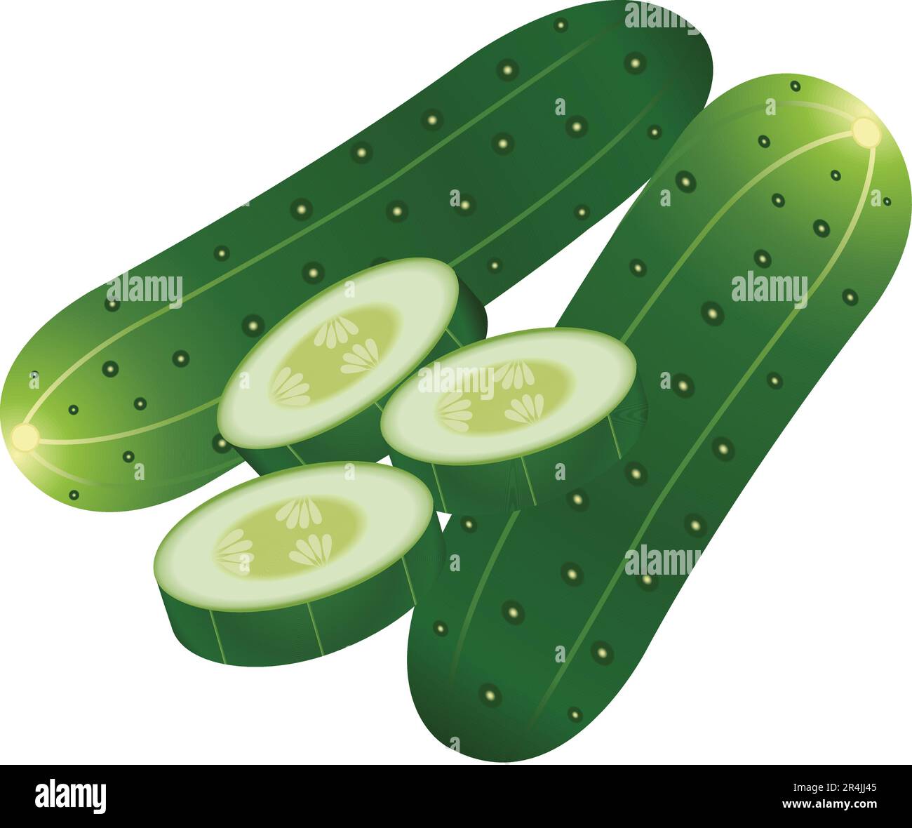 Cucumber realistic vector illustration Stock Vector Image & Art - Alamy