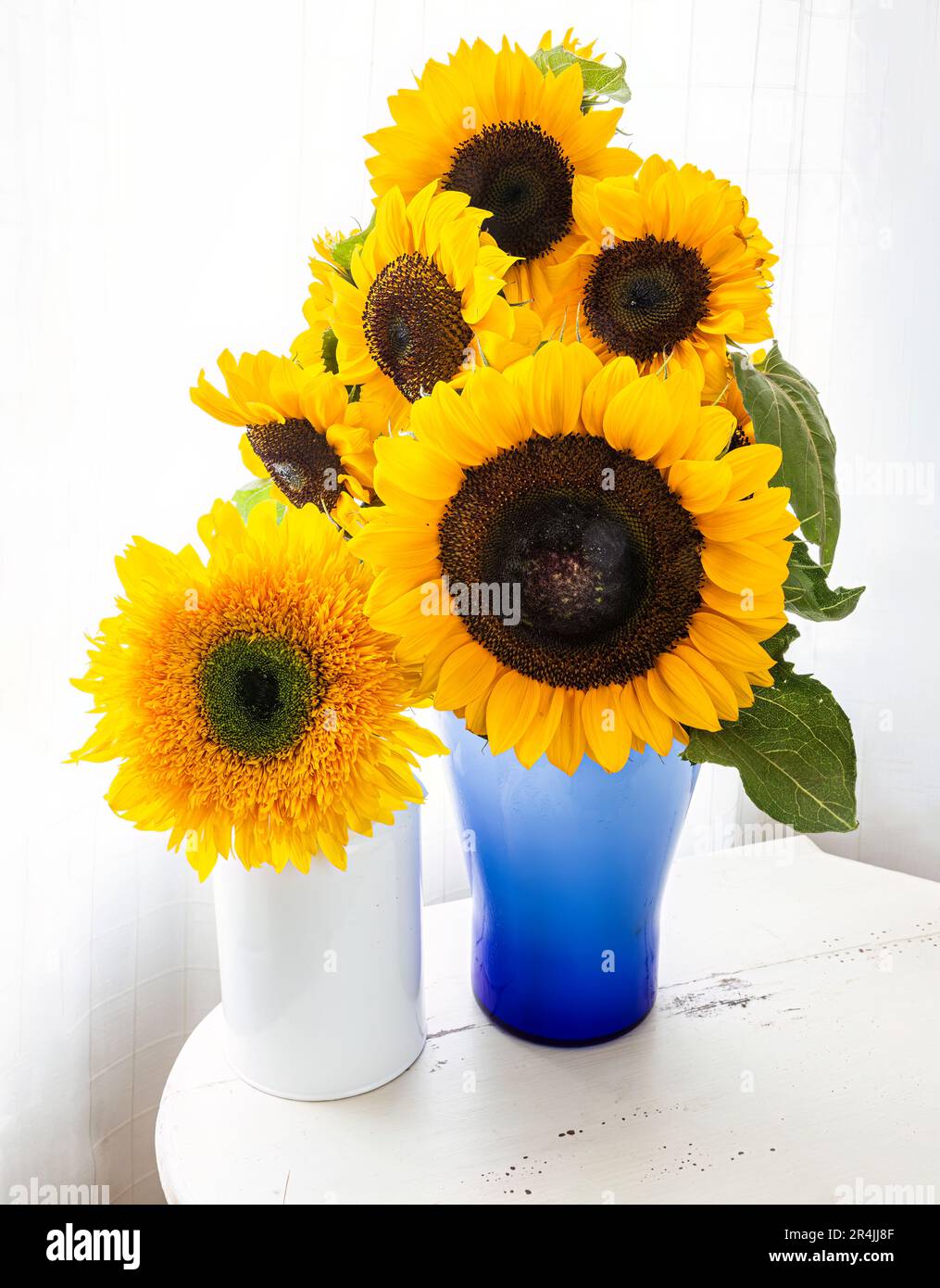 An arrangement of bright sunflowers in a blue vase Stock Photo - Alamy