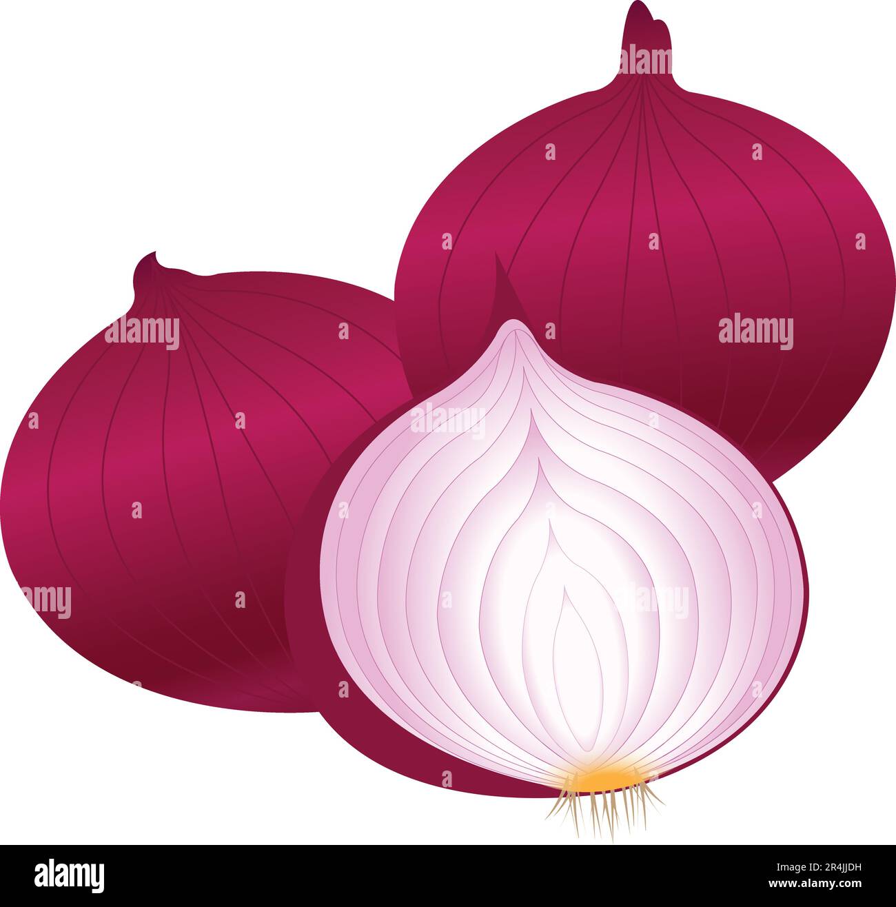 Onion vegetable realistic vector Illustration Stock Vector Image & Art ...