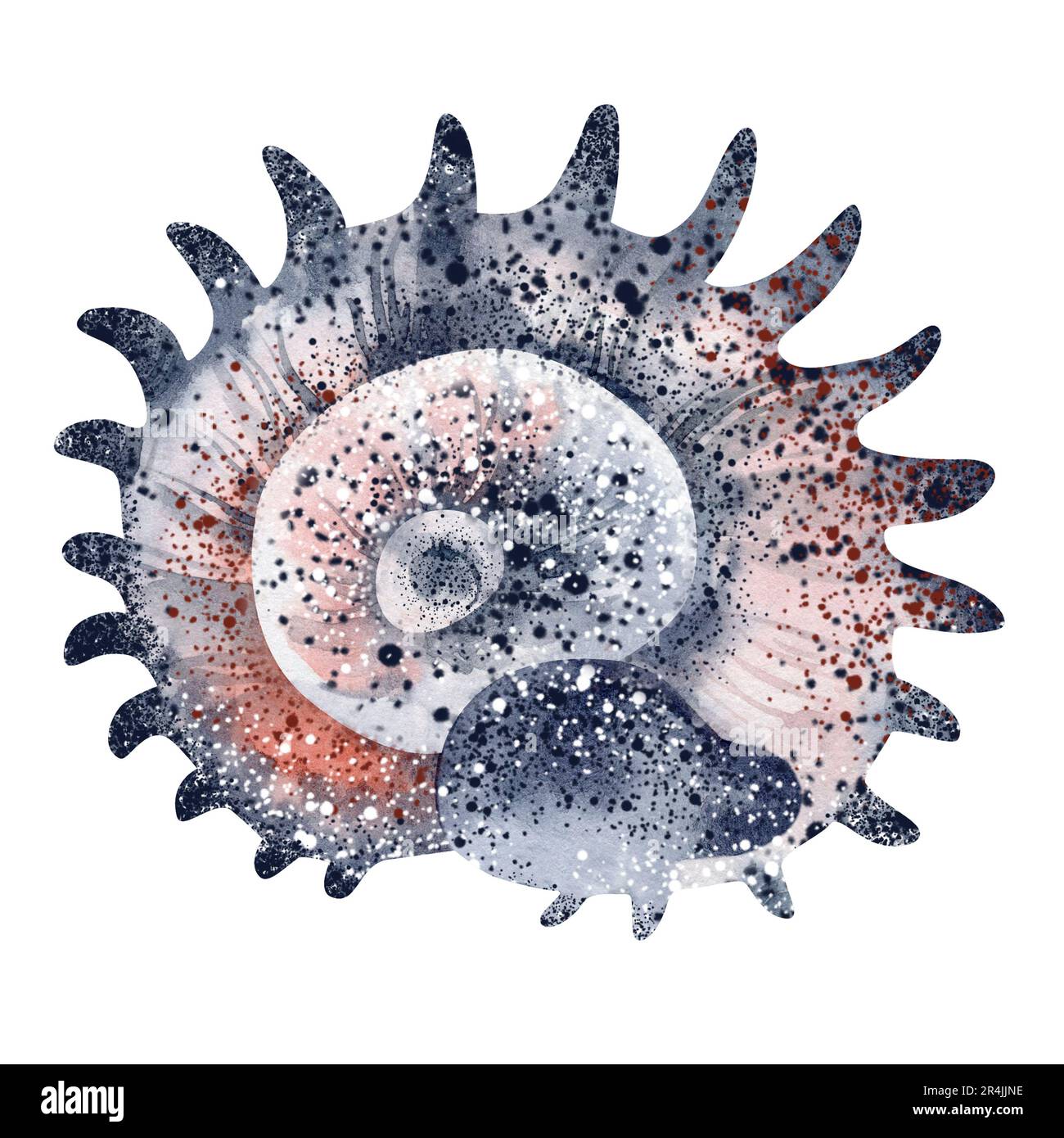 Set of Seashells on isolated white background, watercolor illustration ...