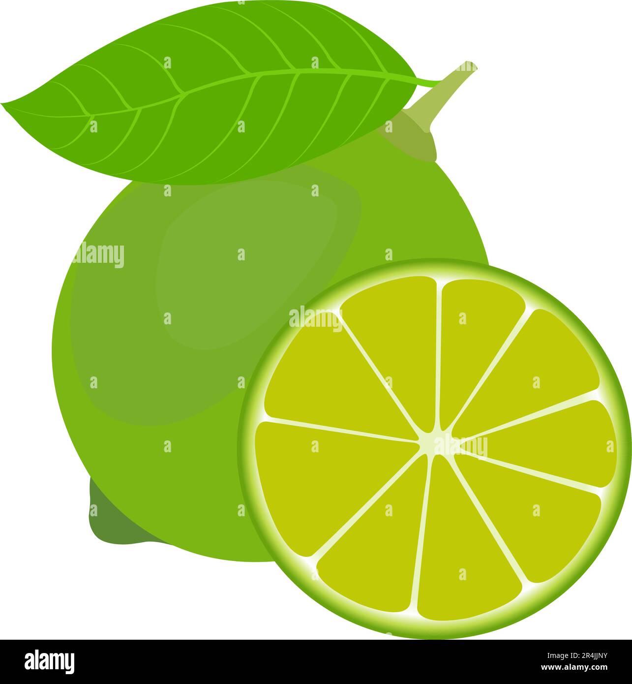 Lemon fruit vector illustration Stock Vector Image & Art - Alamy