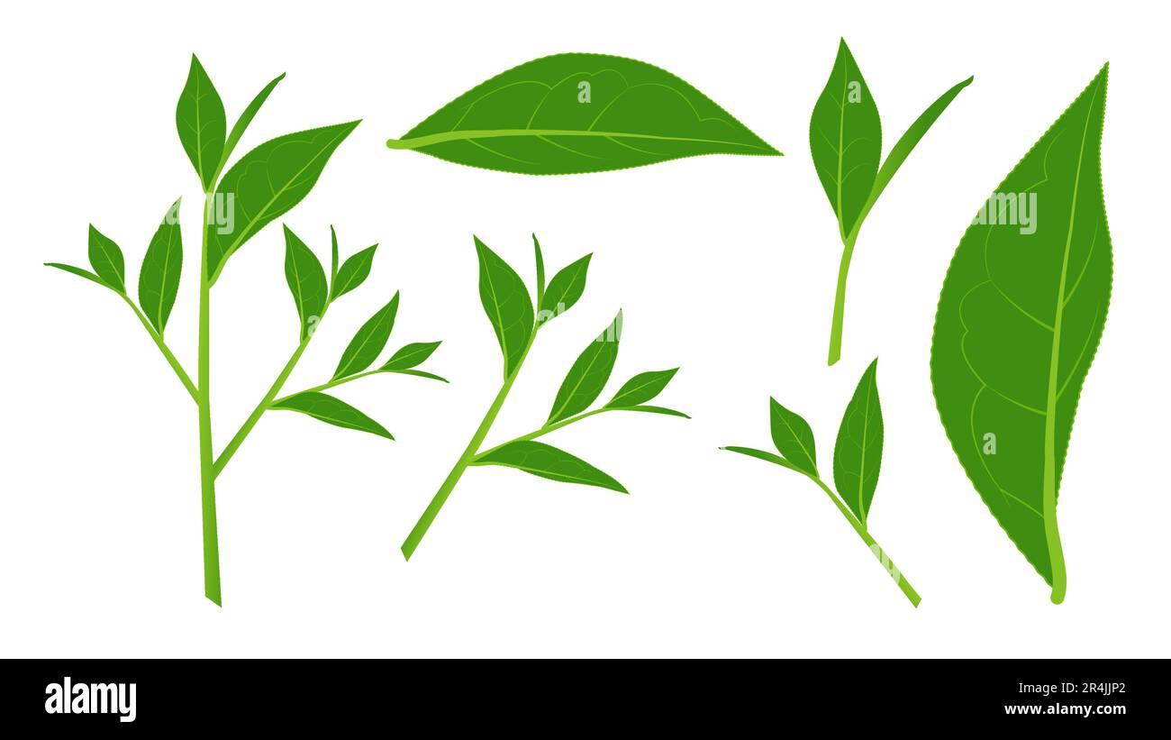 Indian benefits Cut Out Stock Images & Pictures - Alamy