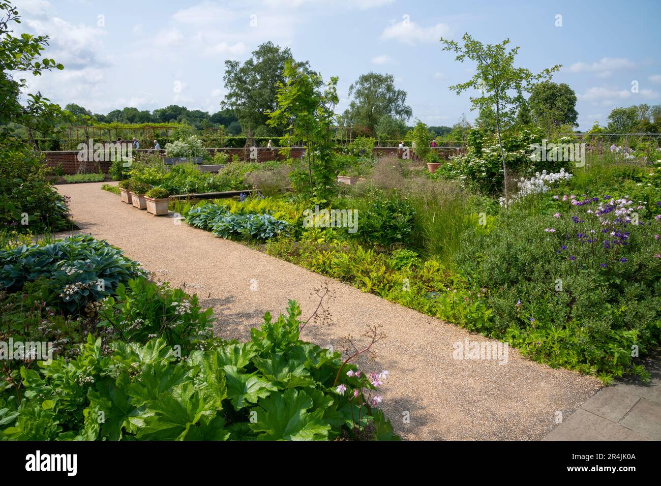 Perennial plants at one end of the Kitchen Garden in RHS Bridgewater ...
