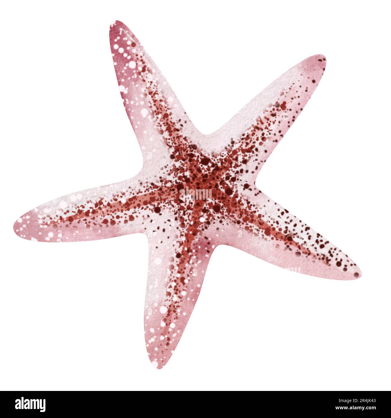 Set of Seashells on isolated white background, watercolor illustration ...