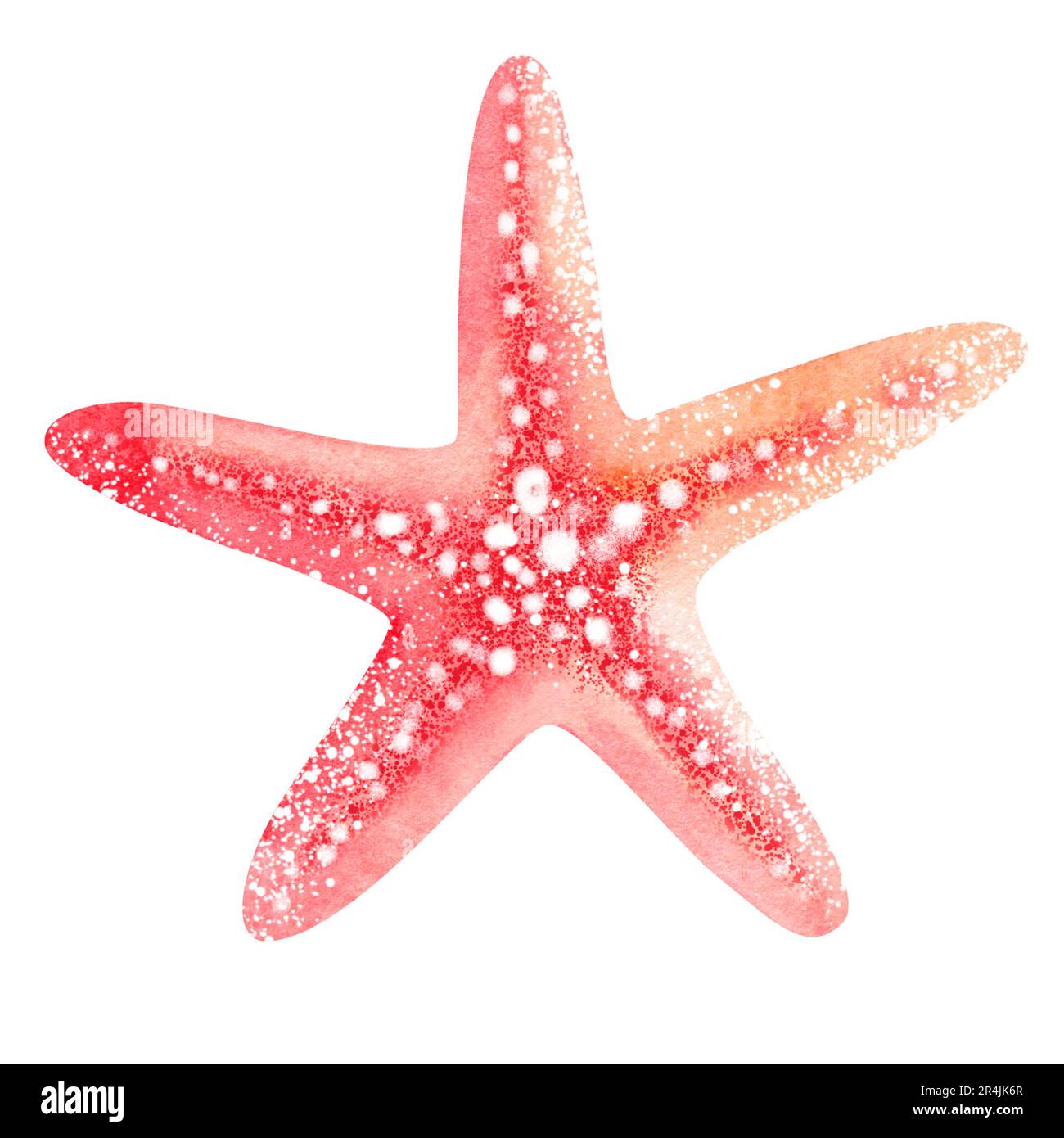 Set of Seashells on isolated white background, watercolor illustration ...