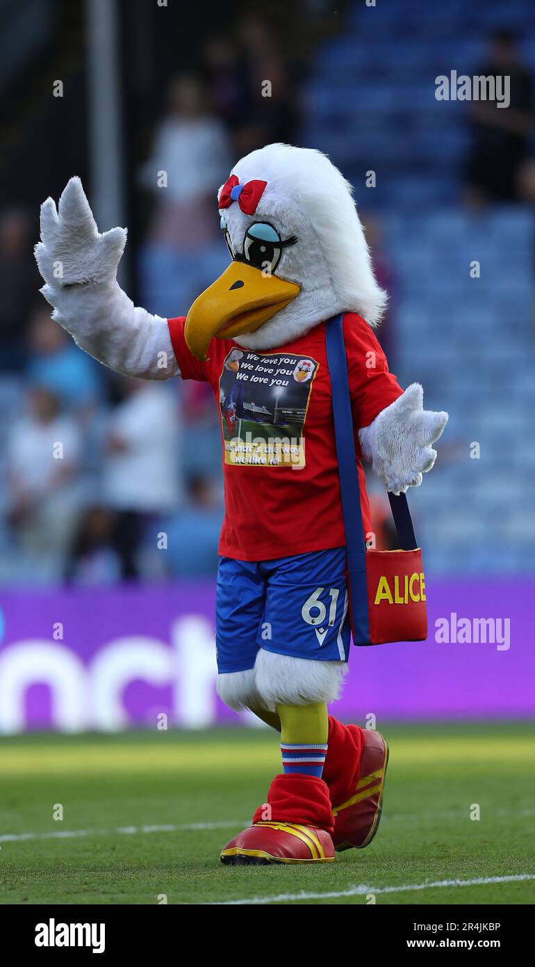 Nottingham forest mascot hi-res stock photography and images - Alamy