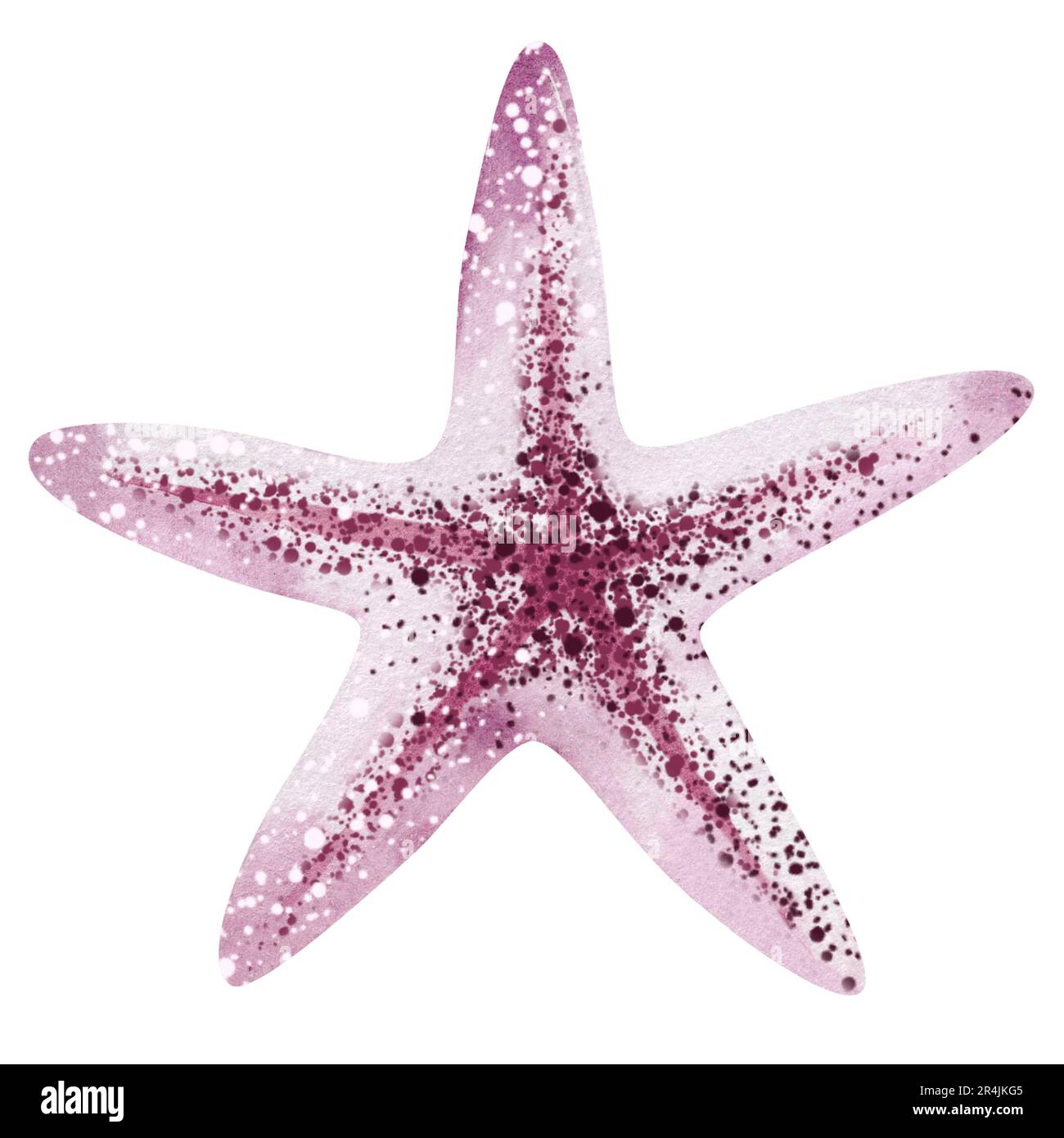 Set of Seashells on isolated white background, watercolor illustration ...