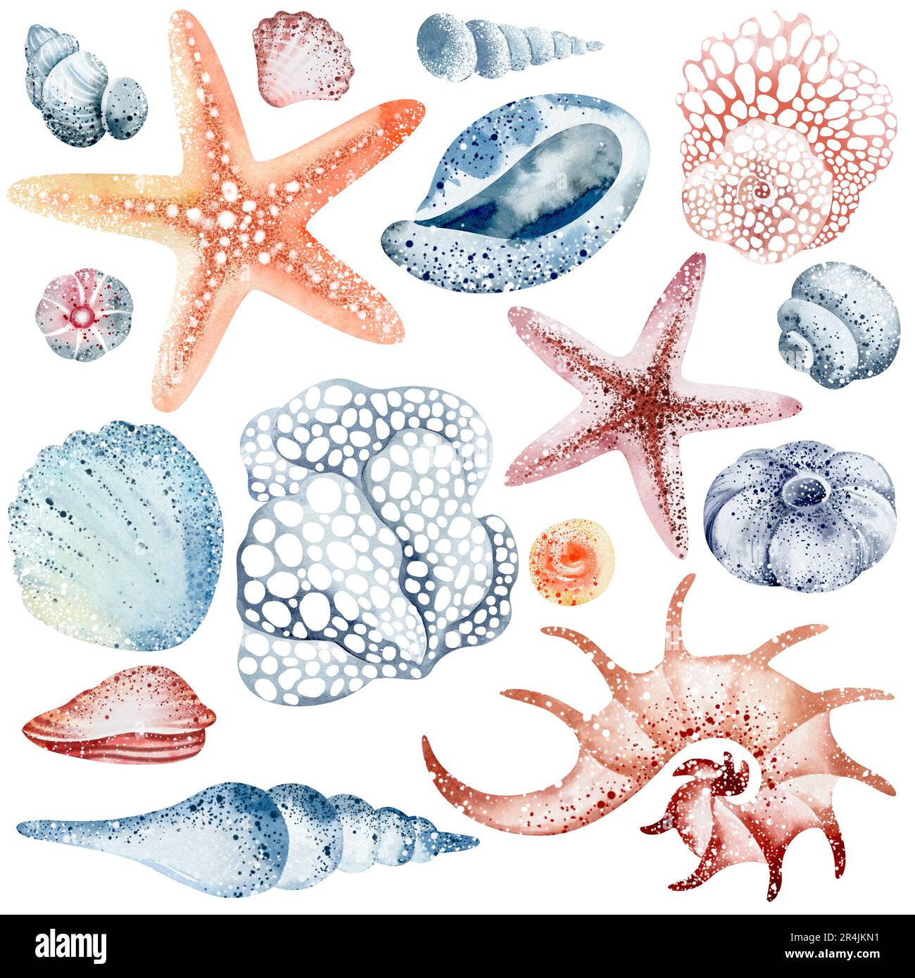 Set of Seashells on isolated white background, watercolor illustration ...