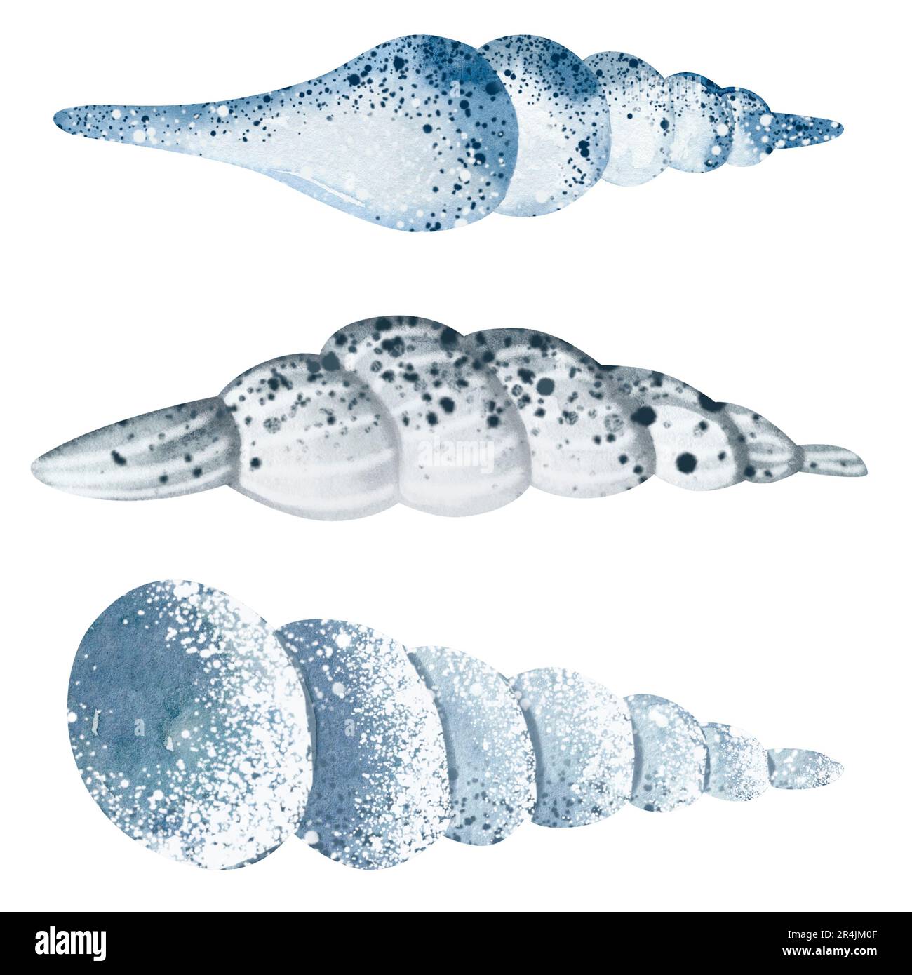 Set of Seashells on isolated white background, watercolor illustration ...