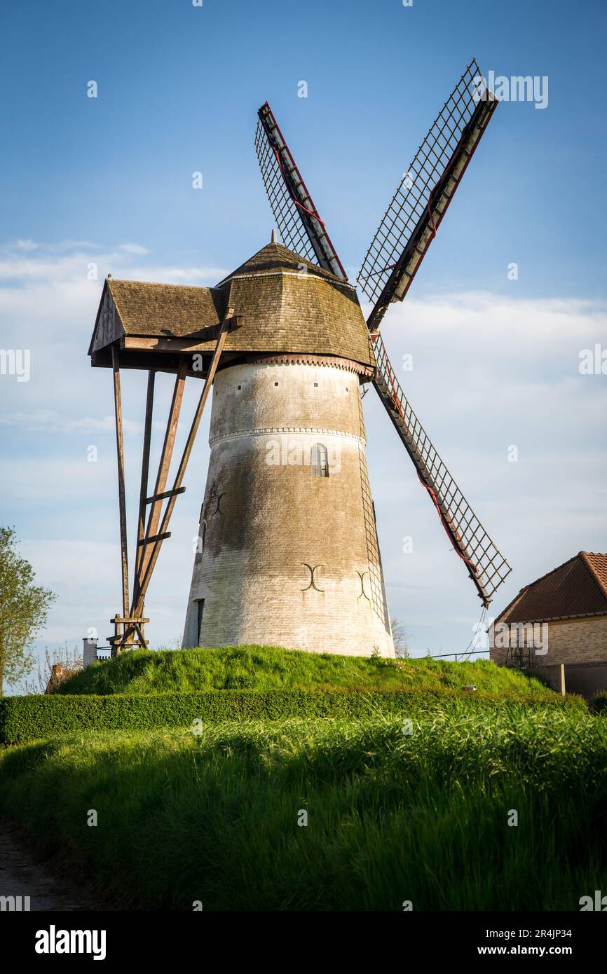 Windmill in Ninove, Denderstreek, East Flanders, Belgium Stock Photo ...