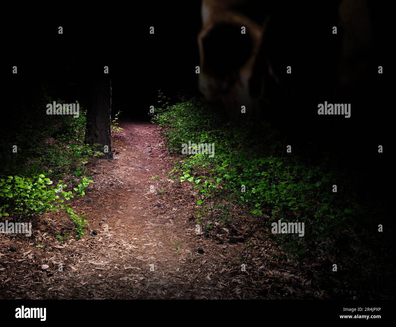 Lighted trail hi-res stock photography and images - Alamy