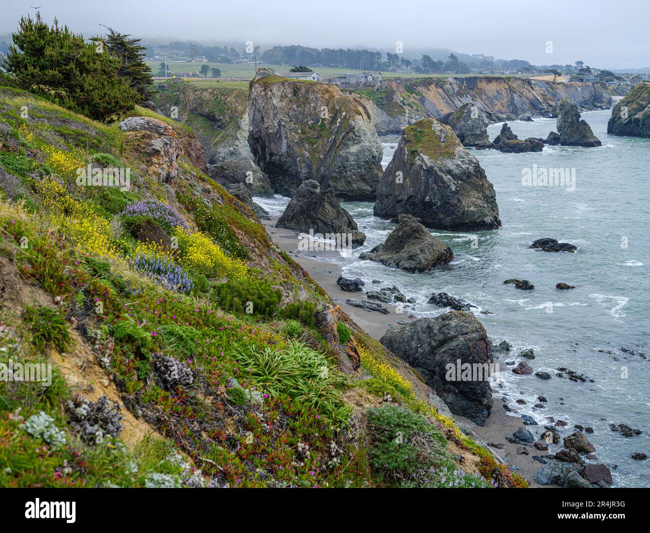 Bodega Bay, Gleason Overlook, California. A typical atmospheric ...