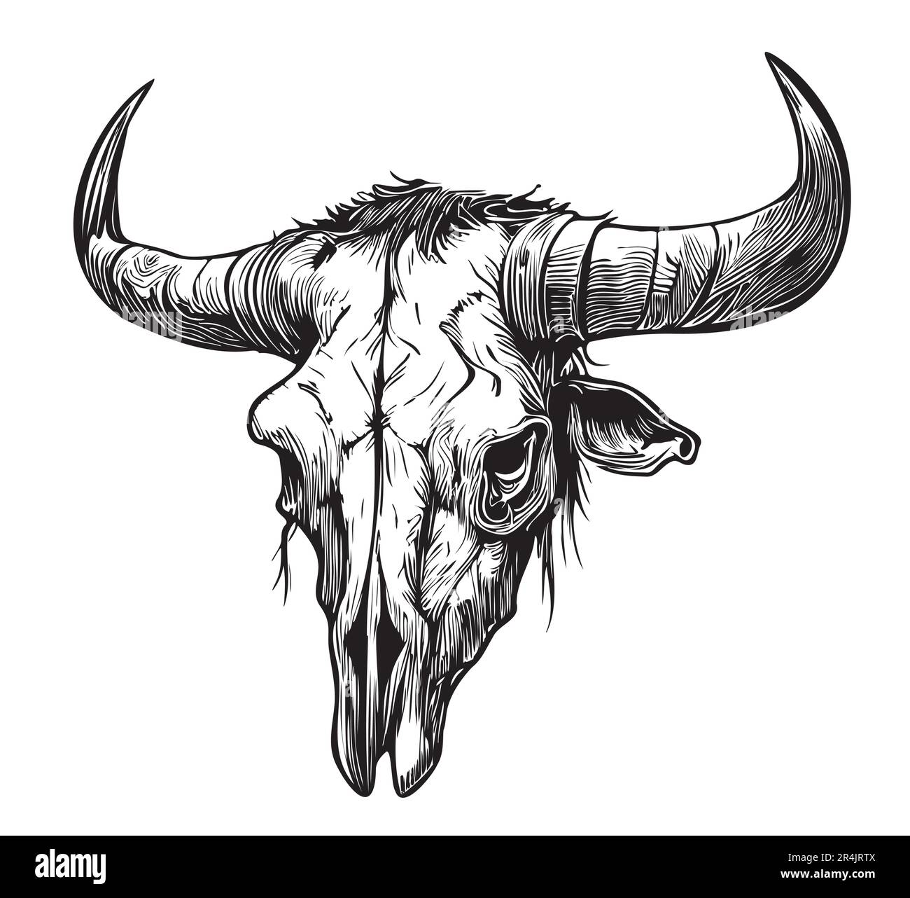 Cow skull sketch hand drawn in doodle style illustration Stock Vector ...