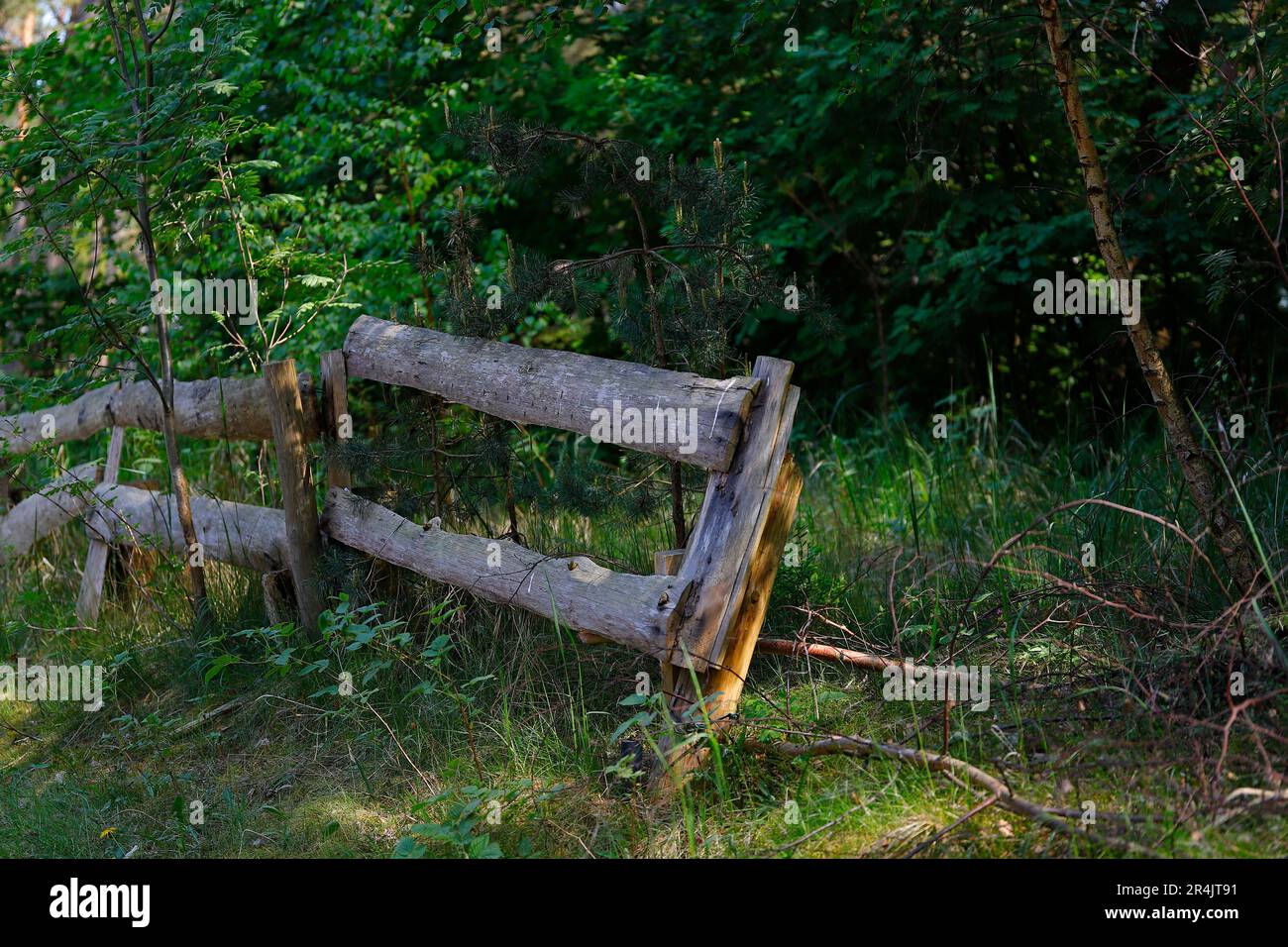 Leaning wooden fence in the forest Stock Photo - Alamy