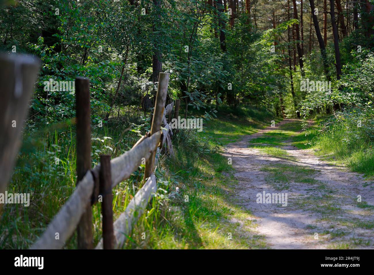 Path with wooden fence hi-res stock photography and images - Alamy
