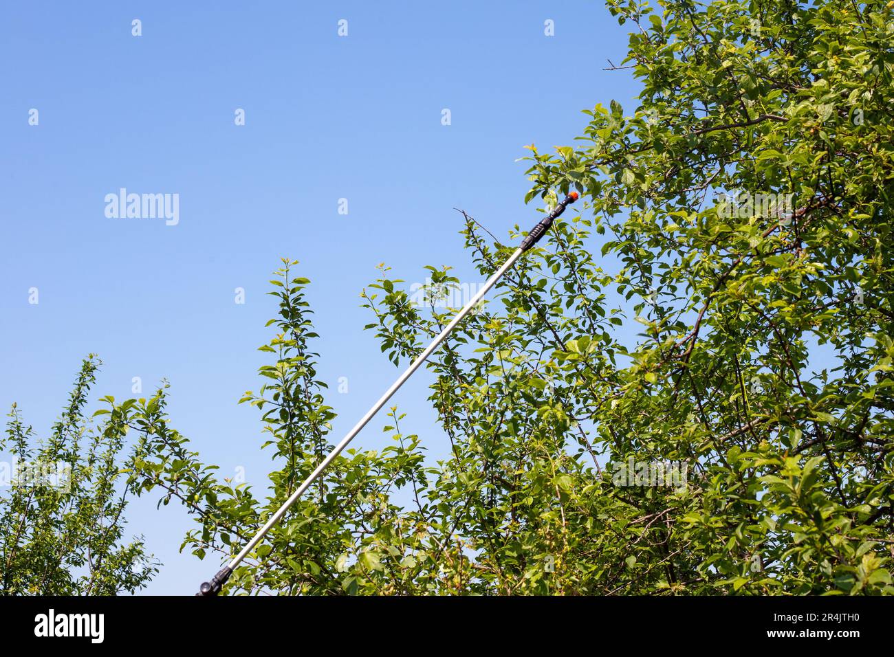 Treatment of fruit trees against aphids with insecticides using a ...
