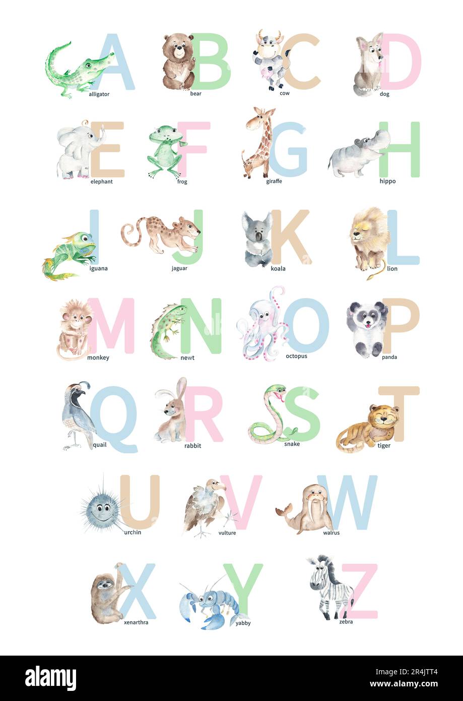 Watercolor hand drawn cute latin animal alphabet. Baby animals with ABC ...