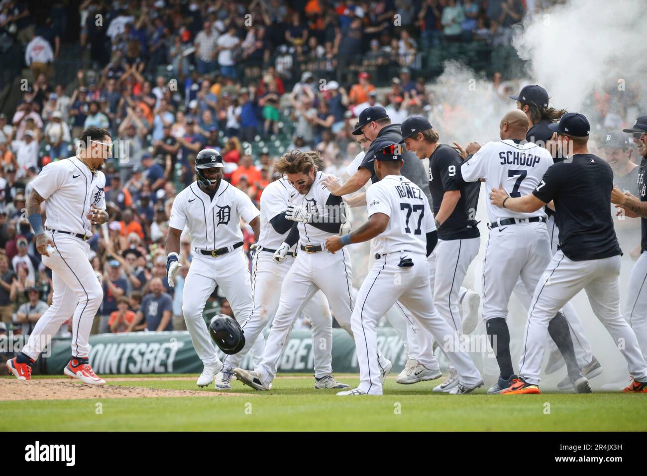 DETROIT, MI - MAY 28: Detroit Tigers catcher Eric Haase (13), center ...