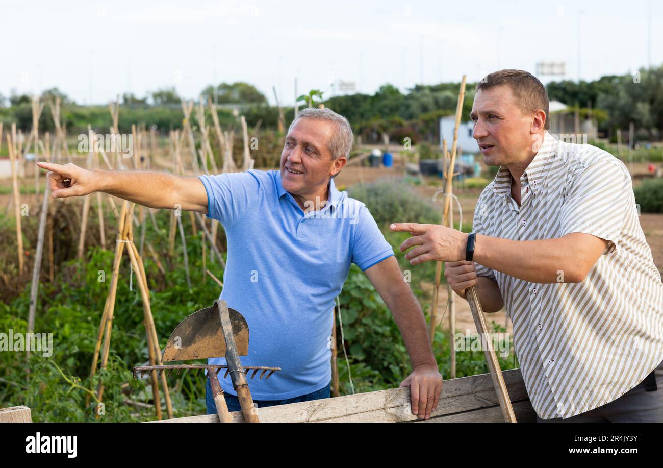 Two male gardeners friendly talking next to wooden fence of country ...