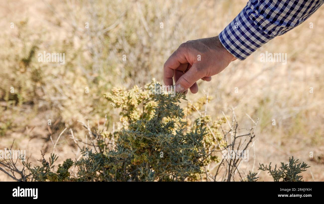 Clayton Gardner raises cattle on 777 Ranch in Torrance County, NM ...