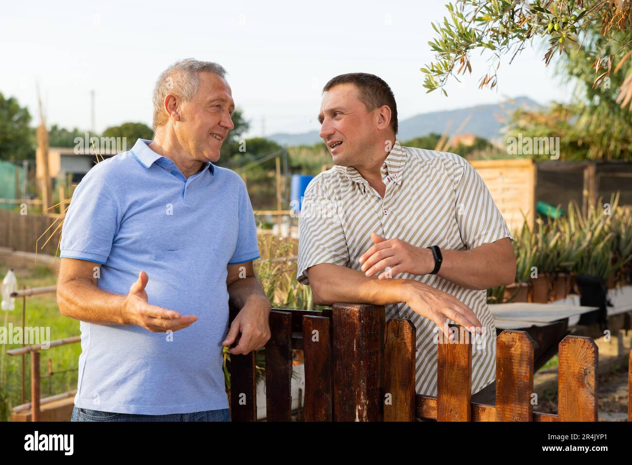 Two male farmers talking outside next to wooden fence on background ...