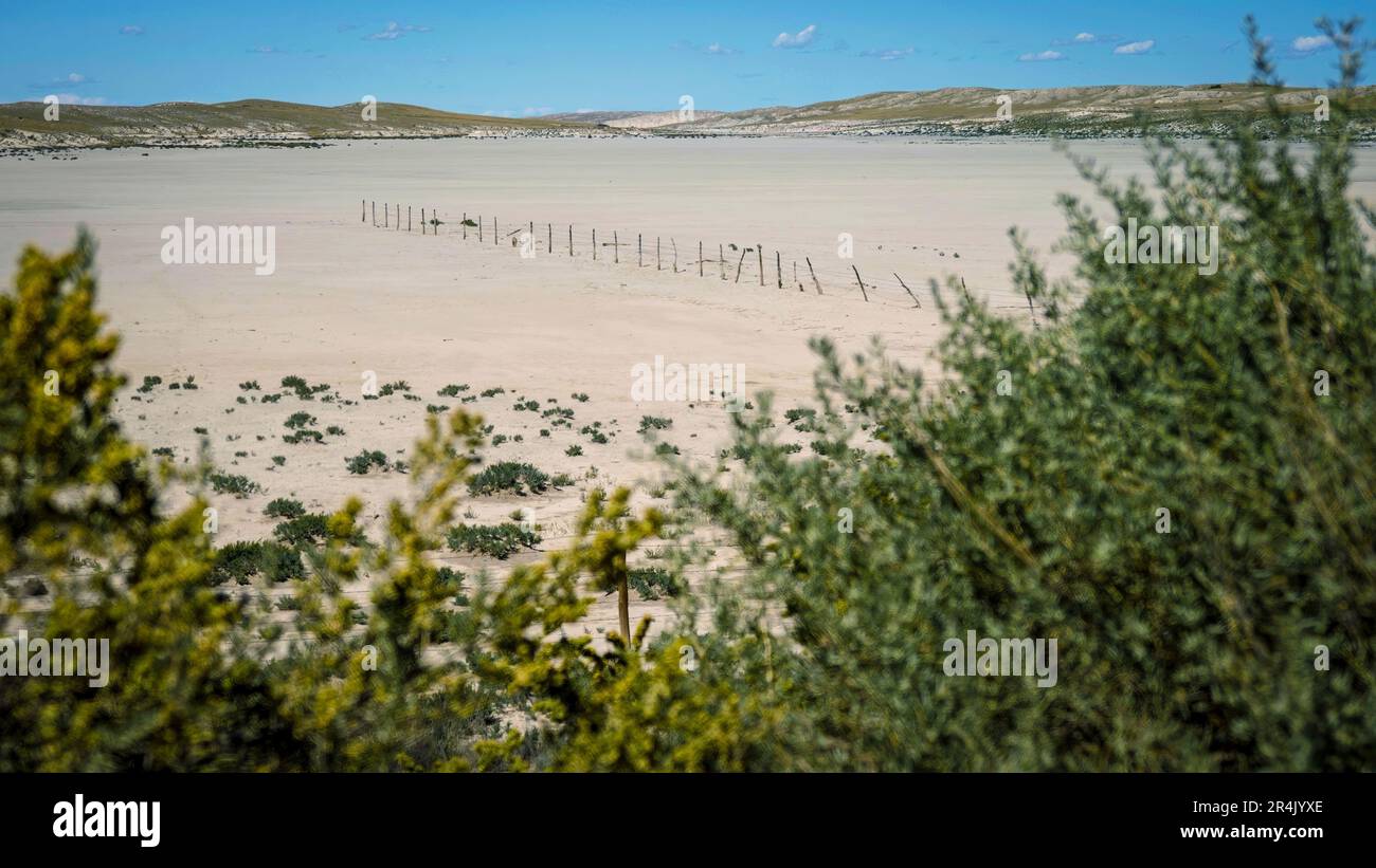 Cattle trough water arid hi-res stock photography and images - Alamy