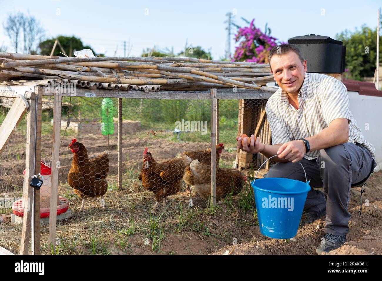 Man farmer taking chickens eggs at chicken-house Stock Photo - Alamy
