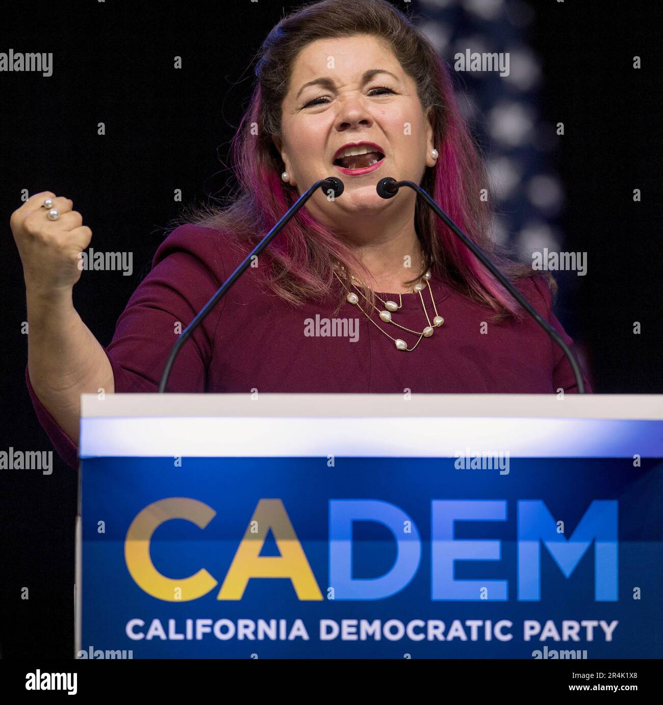 Los Angeles, California, USA. 27th May, 2023. Congresswoman LINDA ...