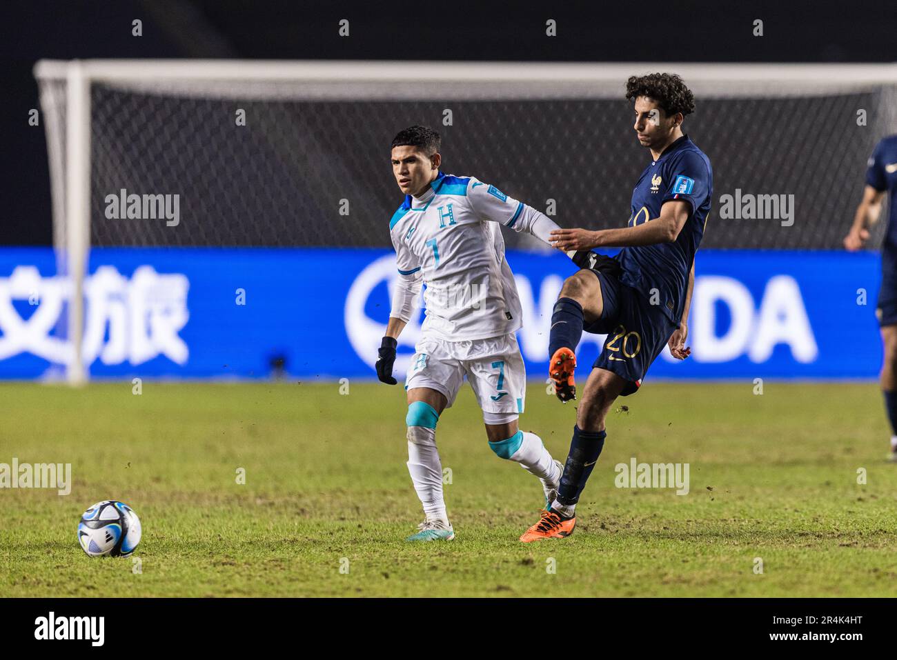 Martin adeline hi-res stock photography and images - Alamy