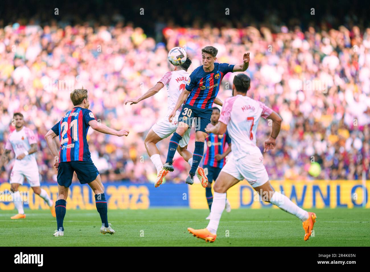 30 gavi hi-res stock photography and images - Alamy