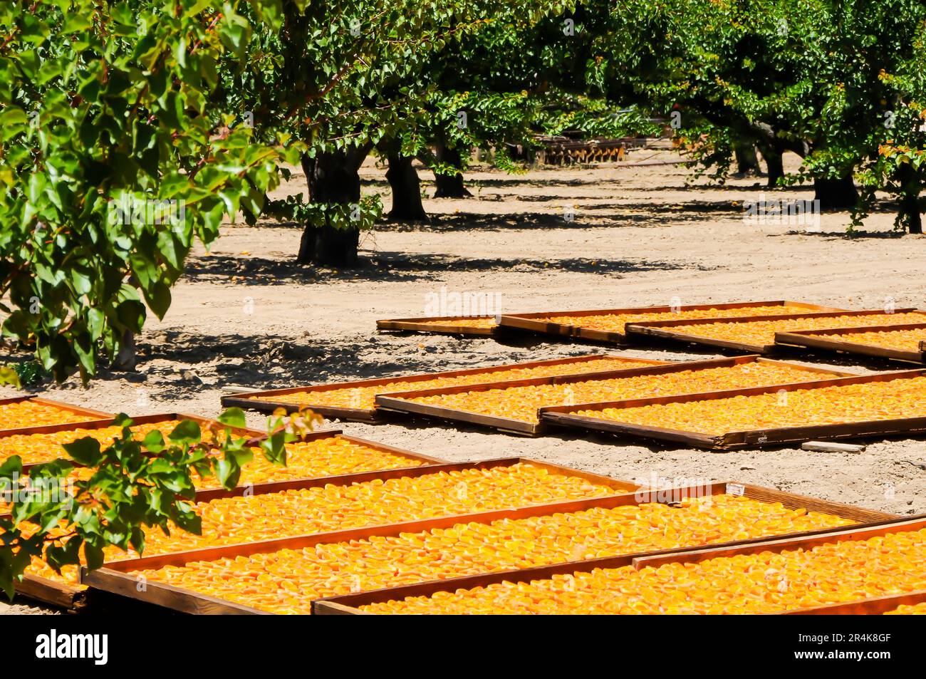 Farming process hi-res stock photography and images - Alamy