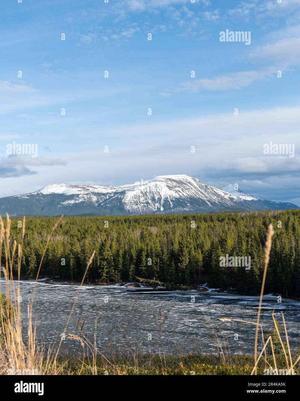 Spring time mountains views with snow capped mountains in Yukon ...