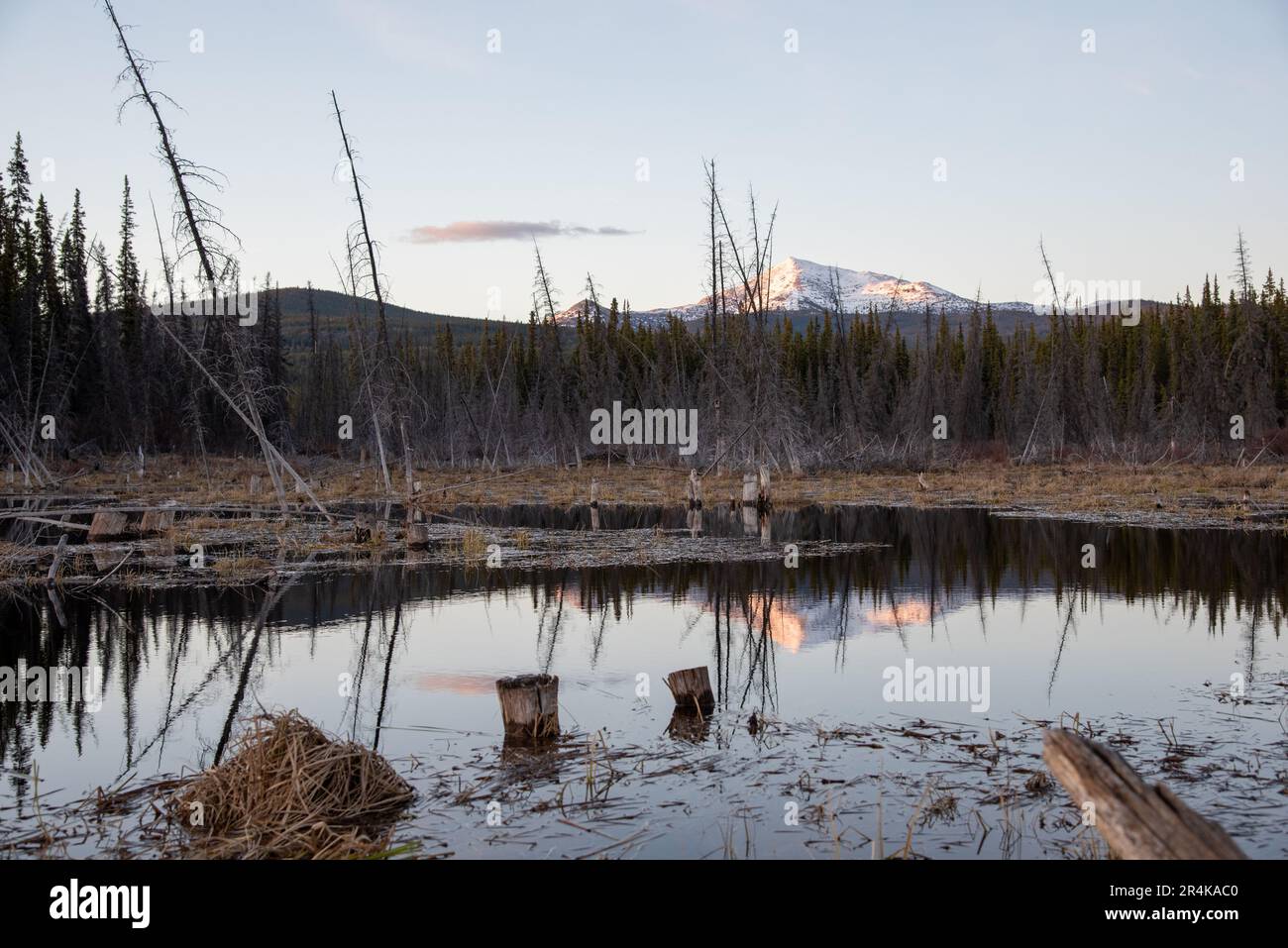 Spring time mountains views with snow capped mountains in Yukon ...