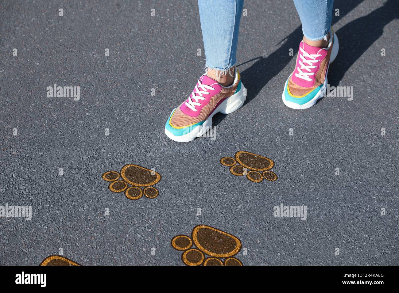 Planning future. Woman walking on drawn marks on road, closeup. Animal ...