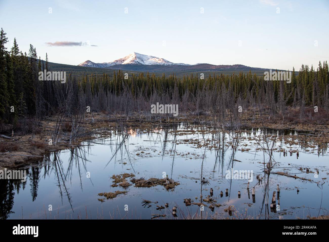 Scenic panorama yukon highway hi-res stock photography and images - Alamy