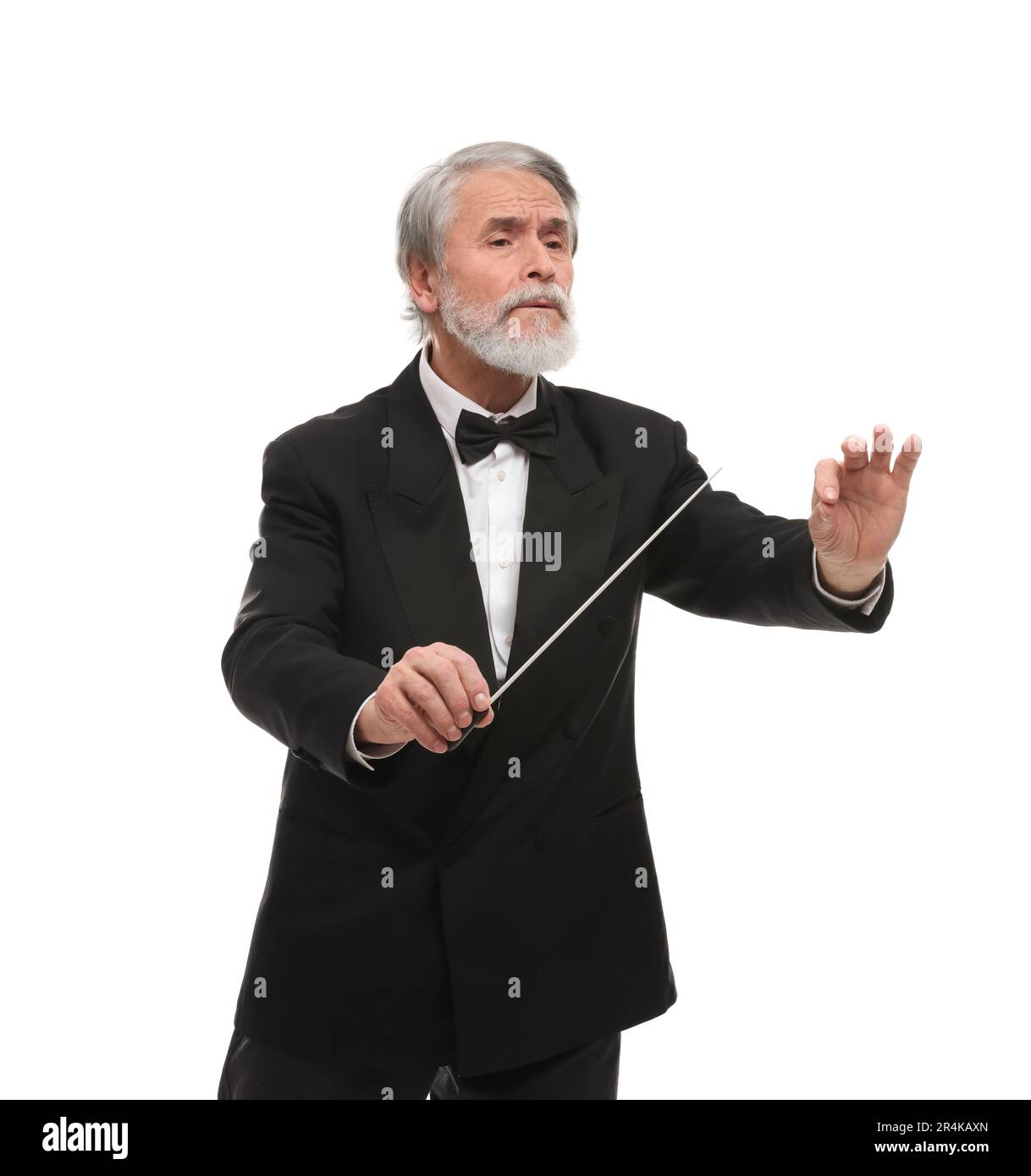 Professional conductor with baton on white background Stock Photo - Alamy
