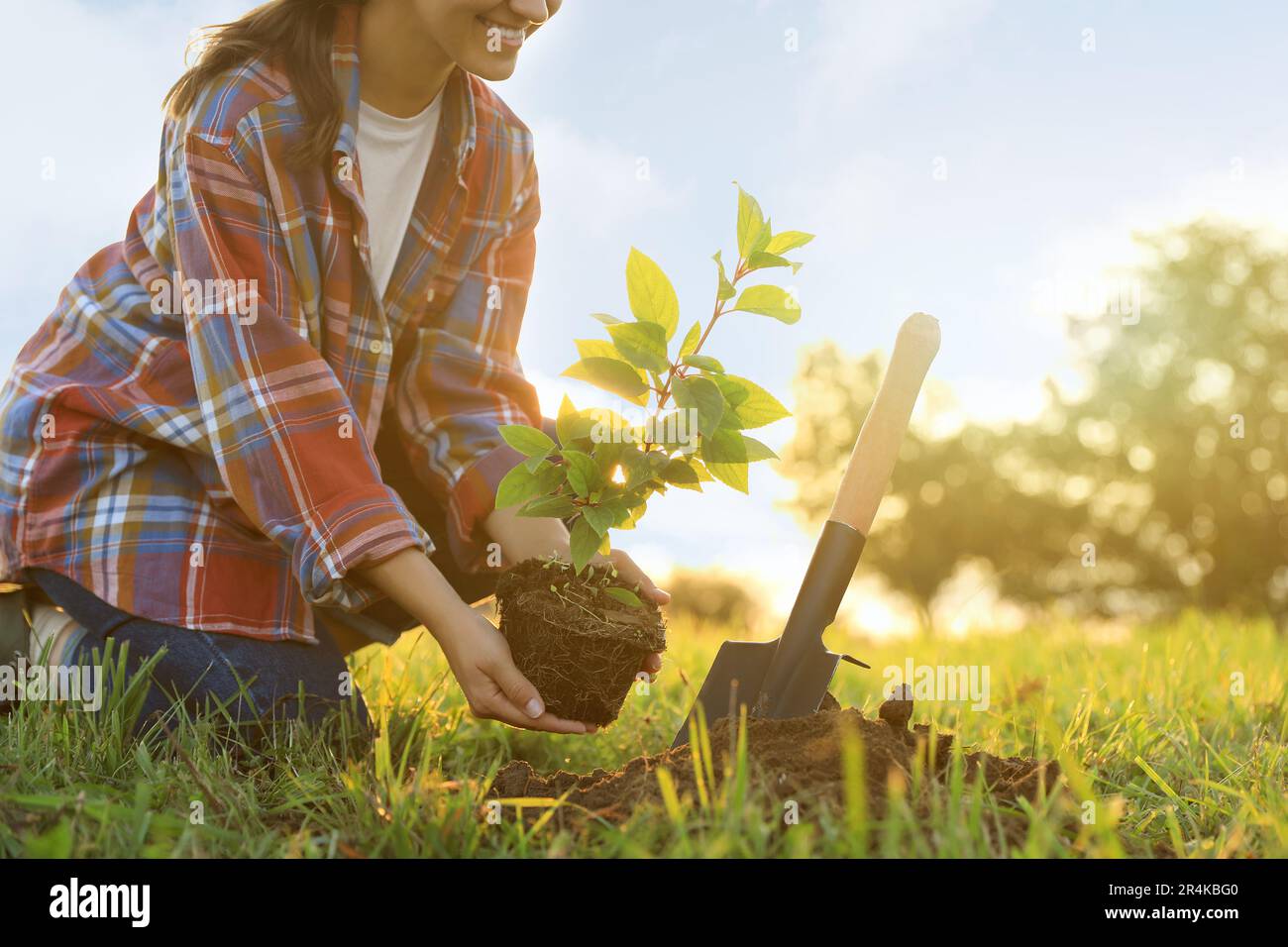 Woman planting tree hi-res stock photography and images - Alamy